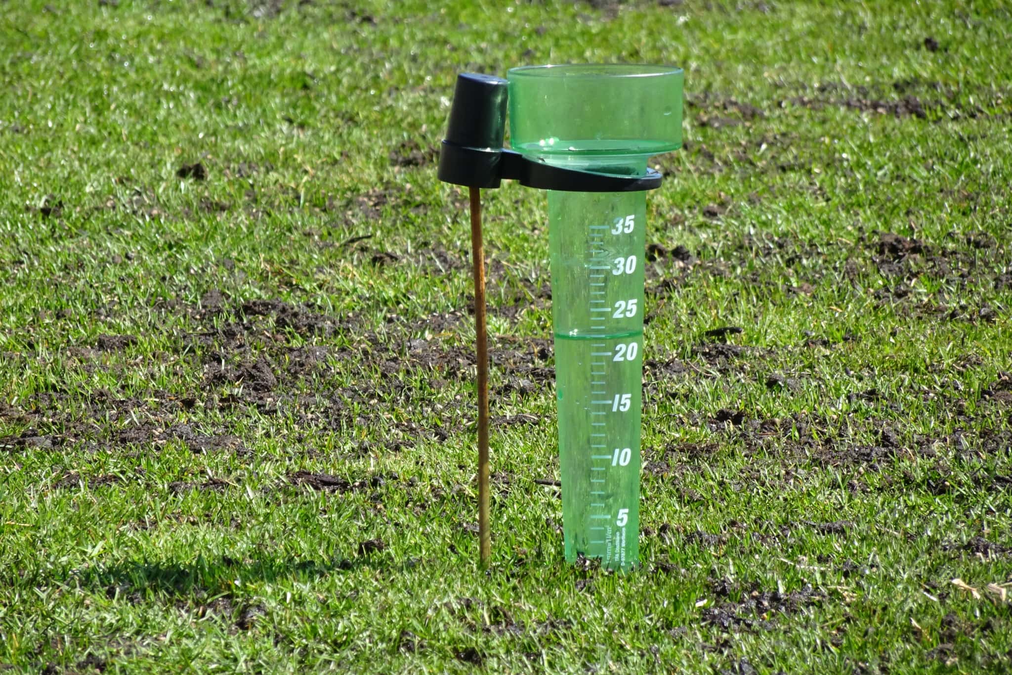 Rasen richtig bewässern - Hauert Rasenblog
